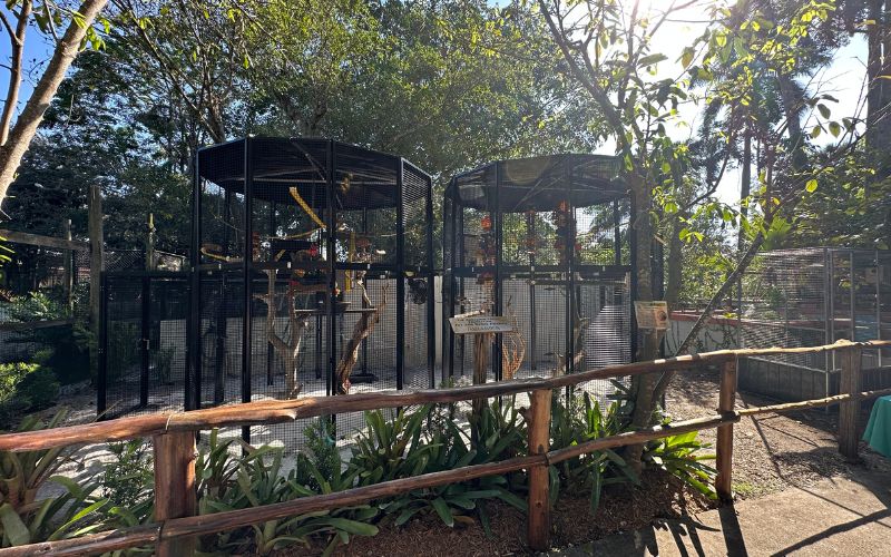 Thanks to donors, two new aviaries house former Shell Factory birds at ...